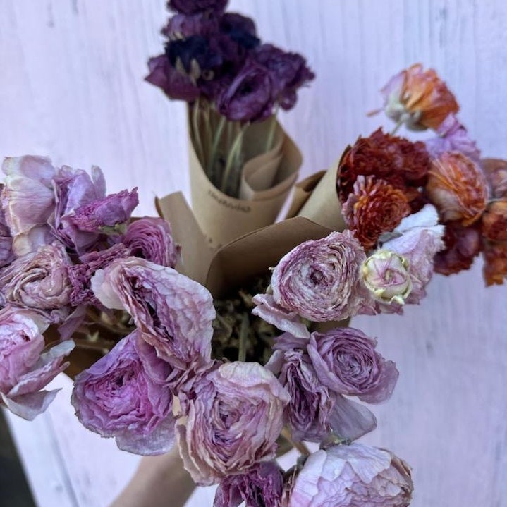 Dried, ranunculus | The Cut Flower Collab